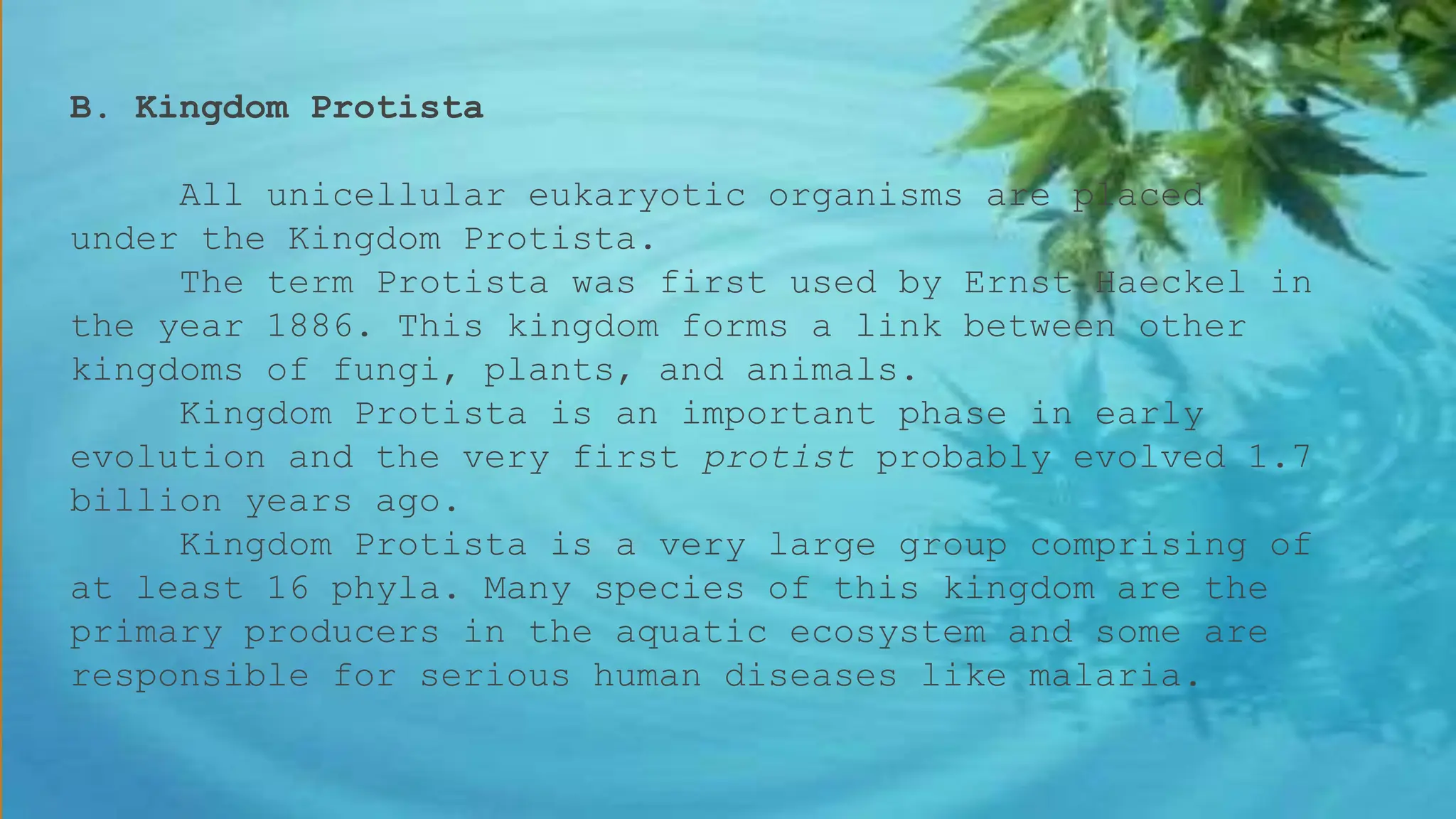 The Five Kingdom of Classifications in Pharmacy | PPTX | Geography | Science