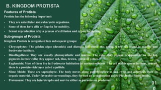 The Five Kingdom of Classifications in Pharmacy | PPTX | Geography | Science