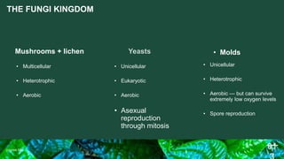 The Five Kingdom of Classifications in Pharmacy | PPTX | Geography | Science