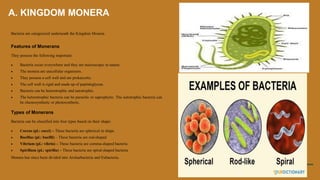The Five Kingdom of Classifications in Pharmacy | PPTX | Geography | Science