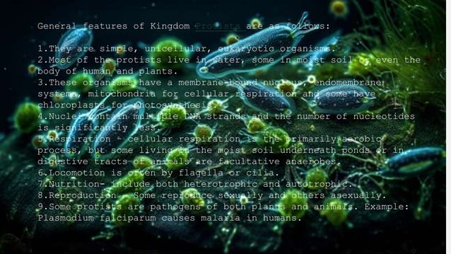 The Five Kingdom of Classifications in Pharmacy | PPTX | Geography | Science