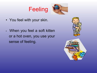 the-five-senses.pptx