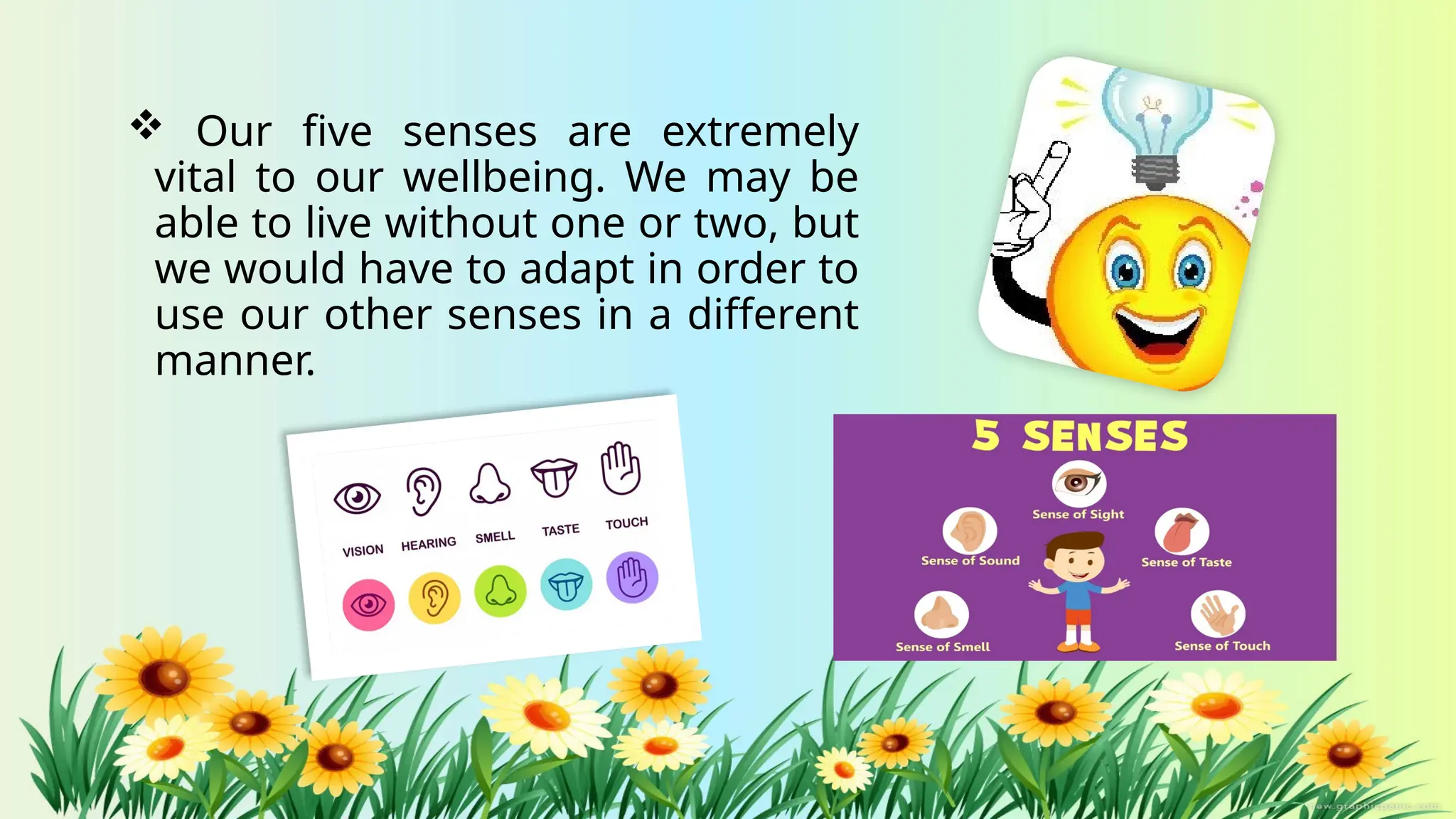 The Five Senses -- for grade 3 studentss | PPTX