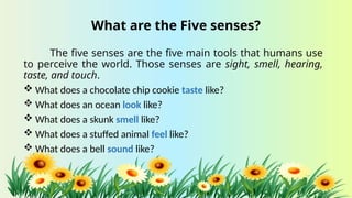 The Five Senses -- for grade 3 studentss | PPTX