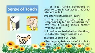 The Five Senses -- for grade 3 studentss | PPTX