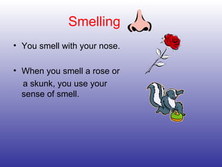 The Five Senses | PPT