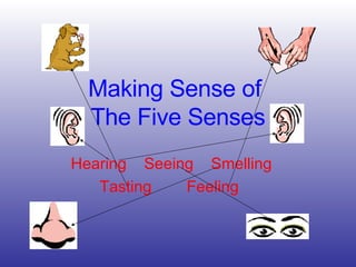Five Senses Feel