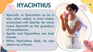 The flower-myths-narcissus-hyacinth-story | PPTX