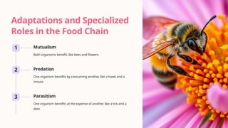 The-Food-Chain-Healthy-Fast-Food-Redefined.pptx