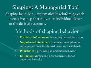 The Foundations of Individual Behavior | PPT