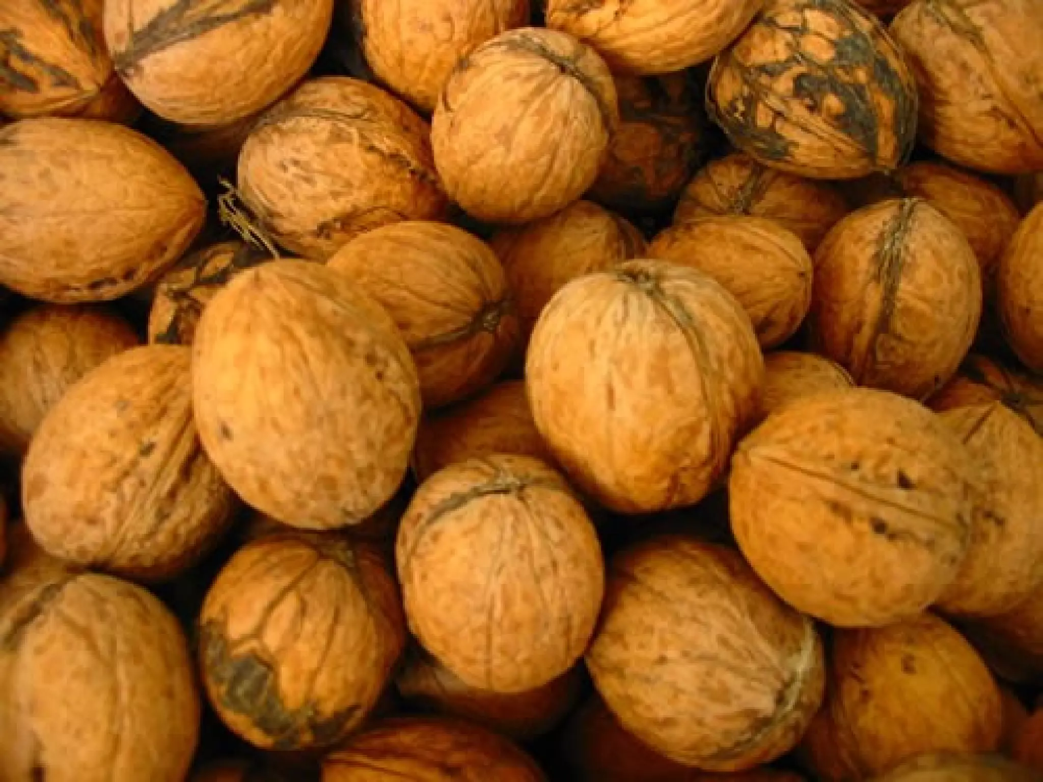 The Four Seasons Of Year Autum | PPT