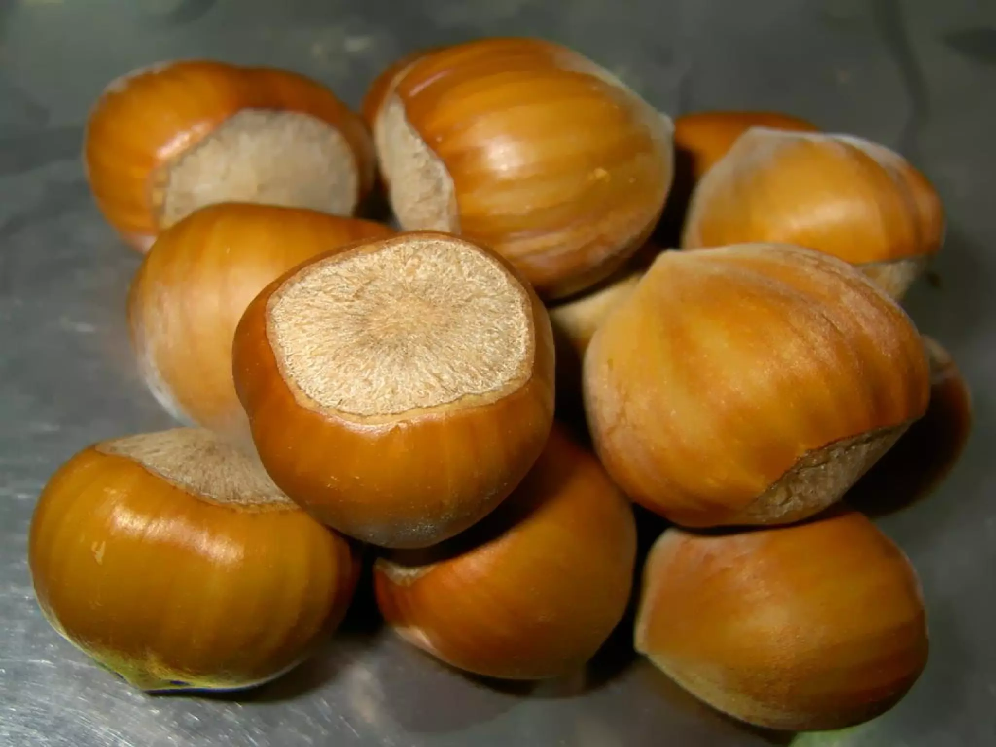 The Four Seasons Of Year Autum | PPT