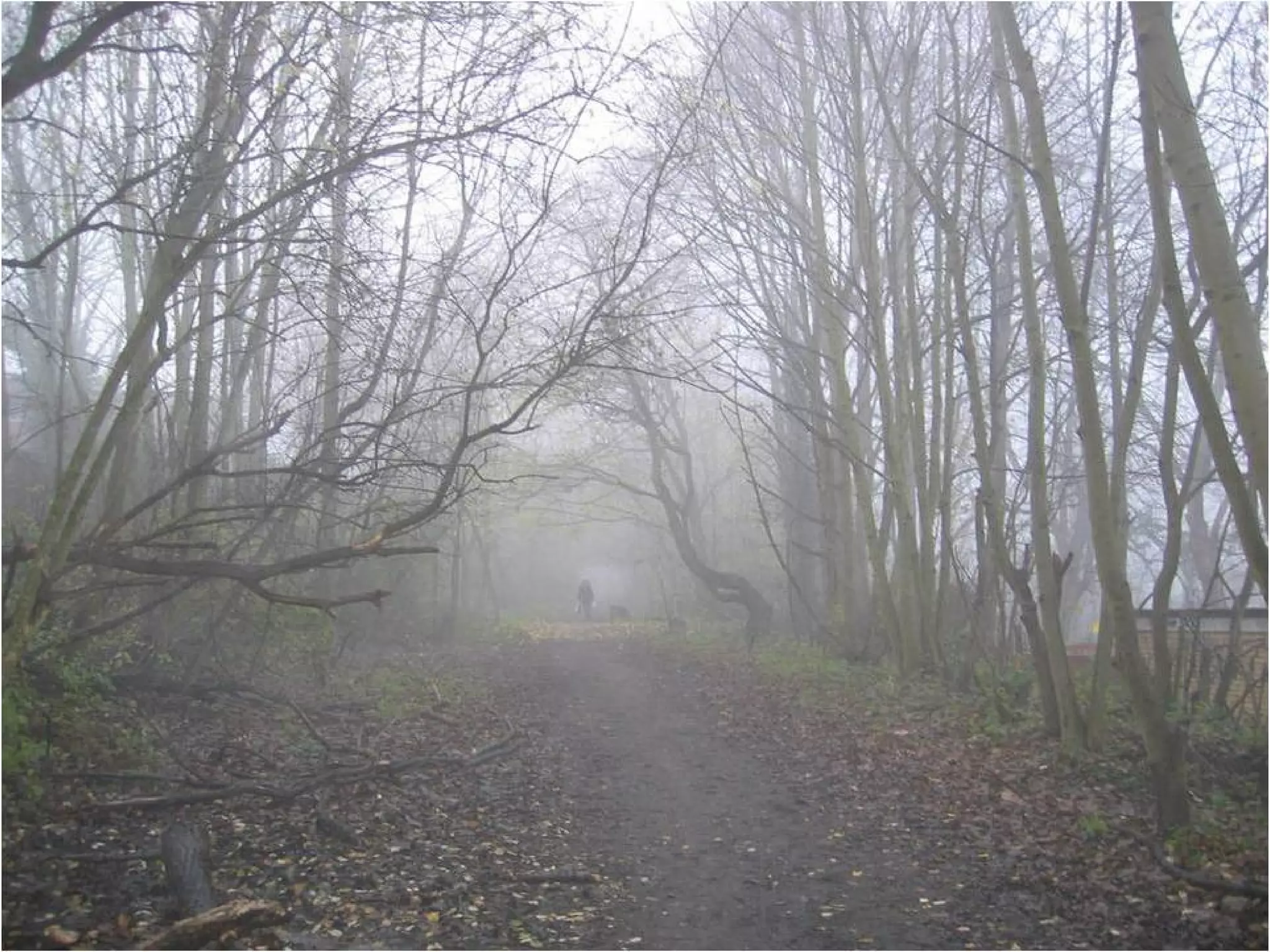 The Four Seasons Of Year Autum | PPT