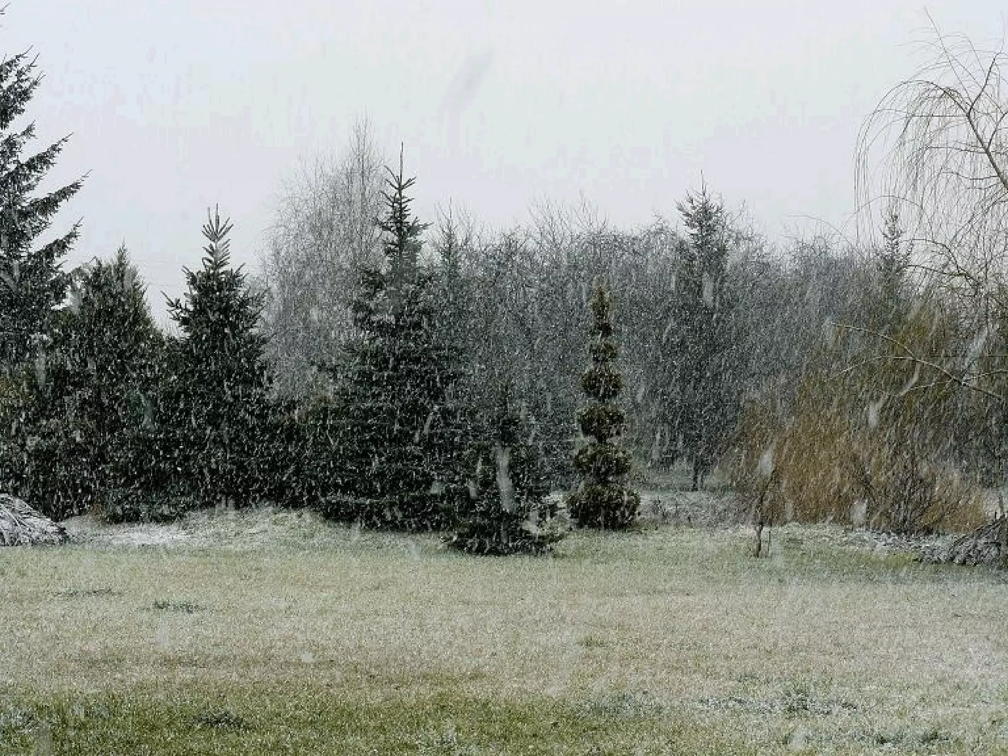 The Four Seasons Of Year Autum | PPT