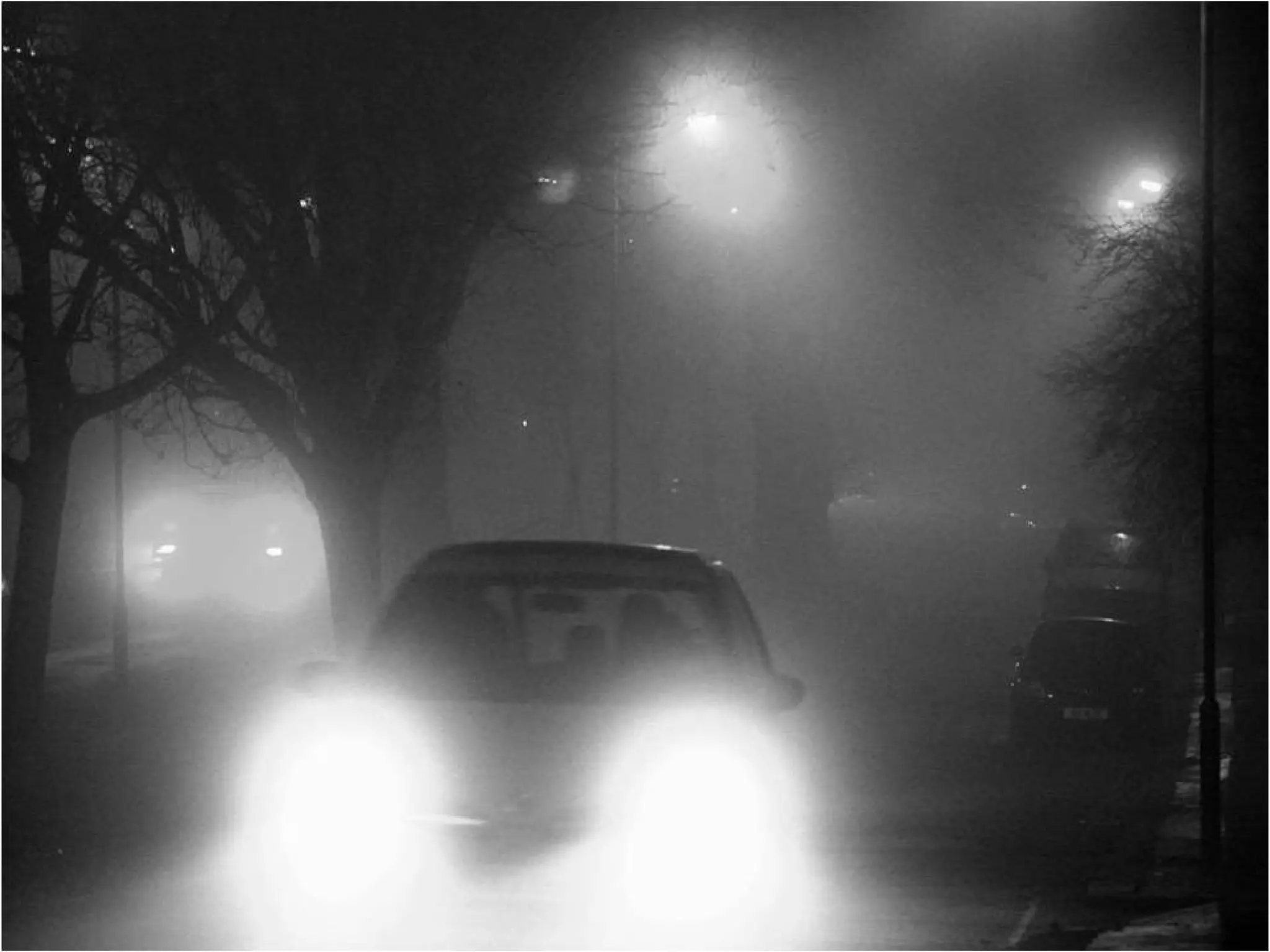 The Four Seasons Of Year Autum | PPT