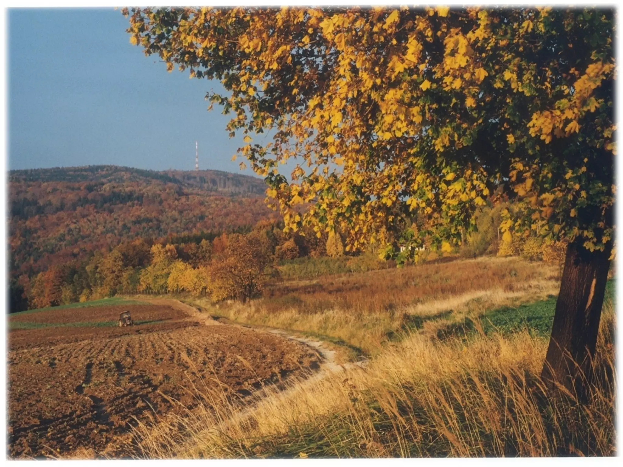 The Four Seasons Of Year Autum | PPT