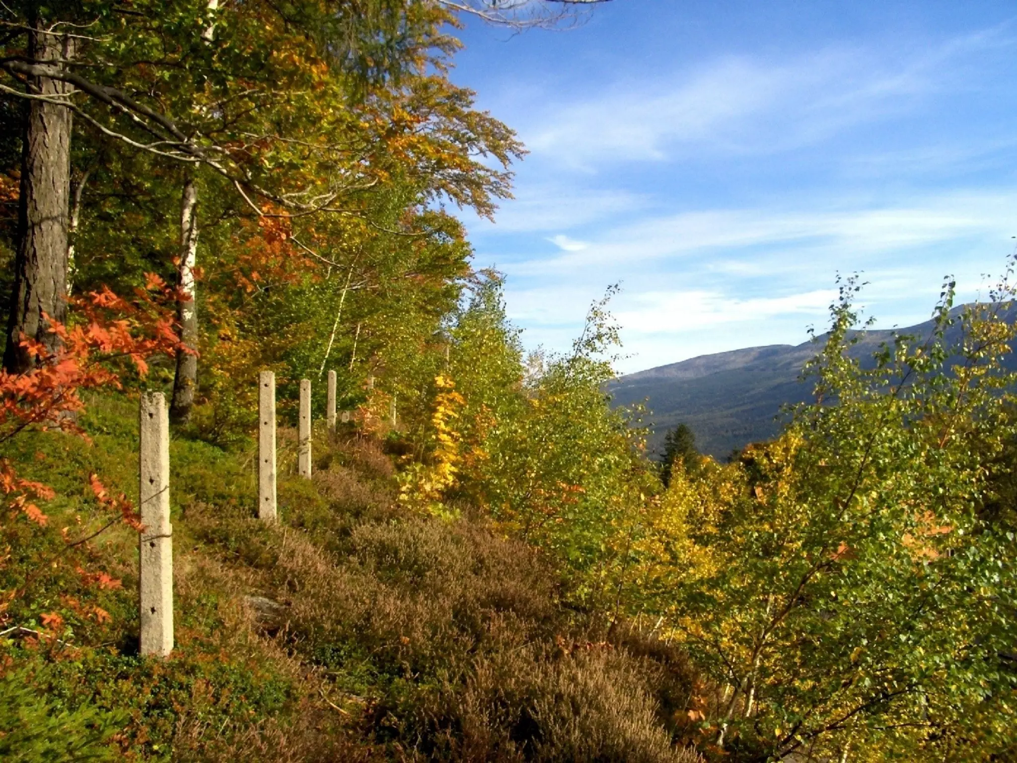 The Four Seasons Of Year Autum | PPT