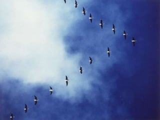 The Four Seasons Of Year Autum | PPT