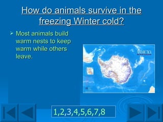 The Frozen World | PPT | Geography | Science