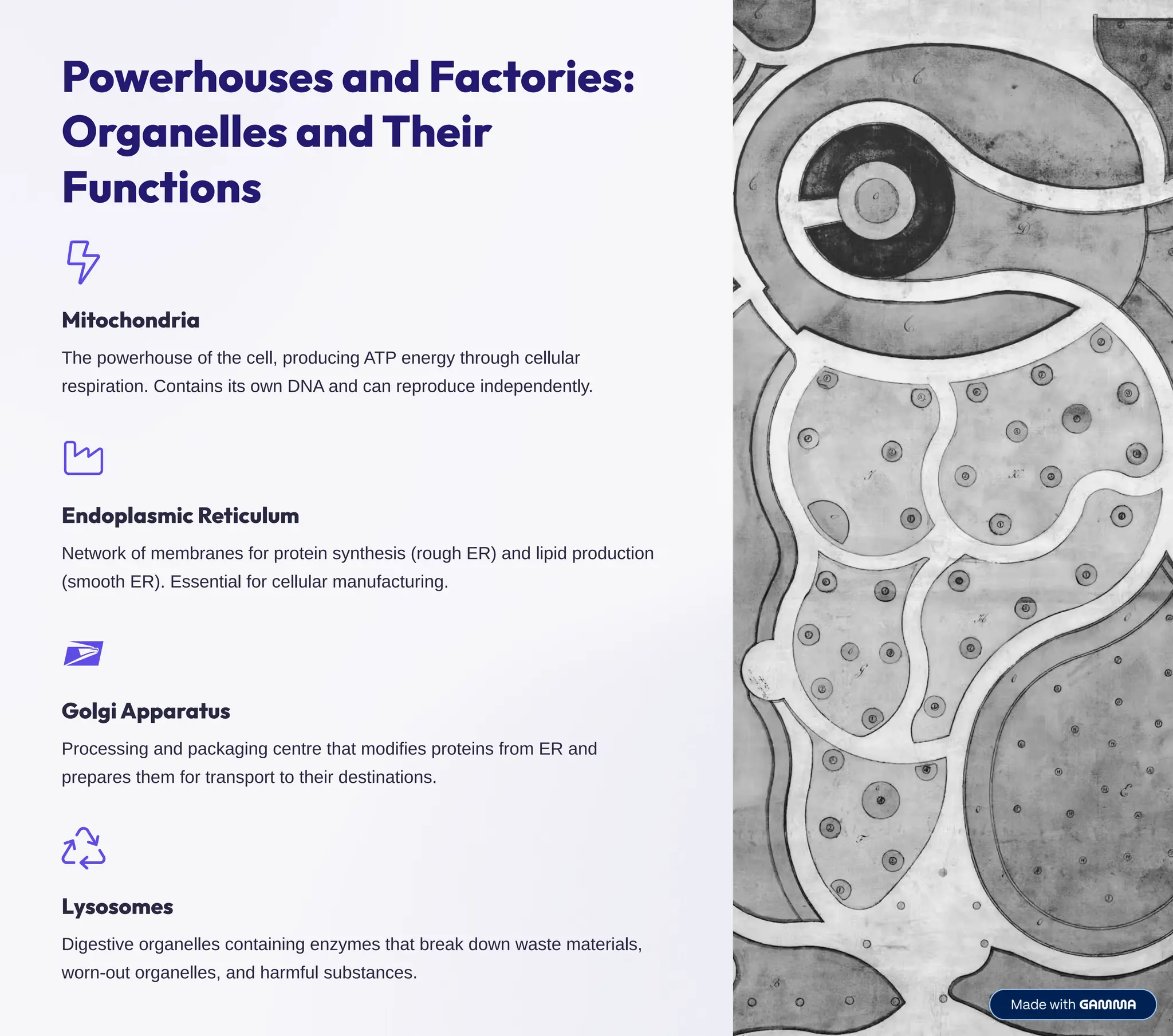The-Fundamental-Unit-of-Life 9th standard topic-Cell.pdf