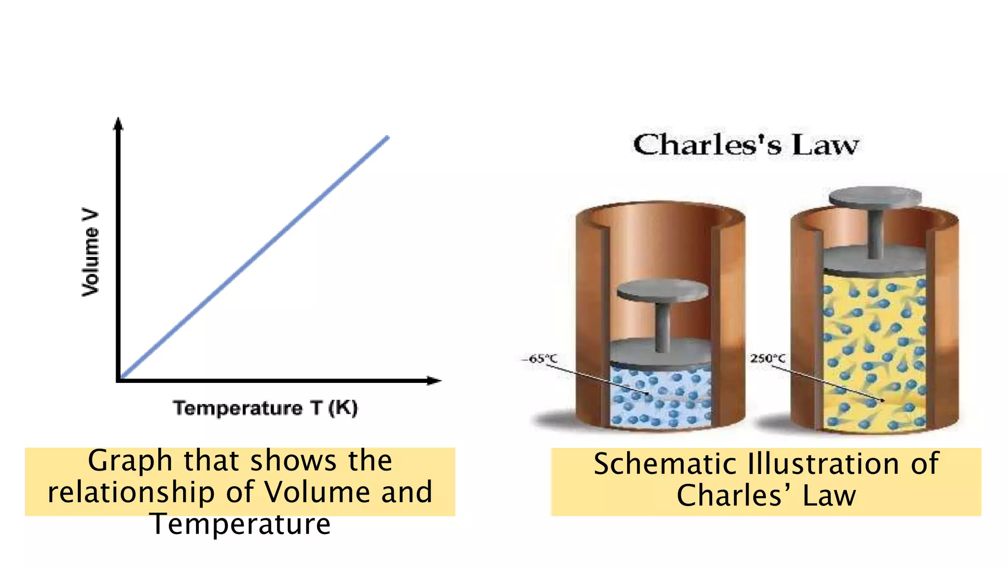 The-Gas-Laws.pptx