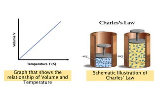 The-Gas-Laws.pptx