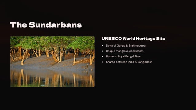 Geographical diversity of India short notes by sandeep swamy | PDF