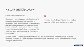 The-Golgi-Apparatus-Structure-Function-and-Significance.pptx
