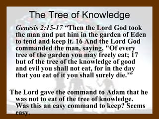 The Gospel of 3 Trees | PPT