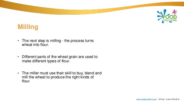 the-grain-chain-ppt-1114fcc.pptx