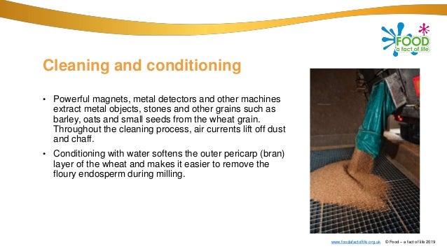 the-grain-chain-ppt-1114fcc.pptx