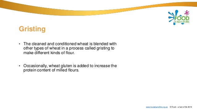 the-grain-chain-ppt-1114fcc.pptx