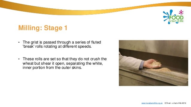 the-grain-chain-ppt-1114fcc.pptx