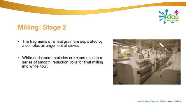 the-grain-chain-ppt-1114fcc.pptx