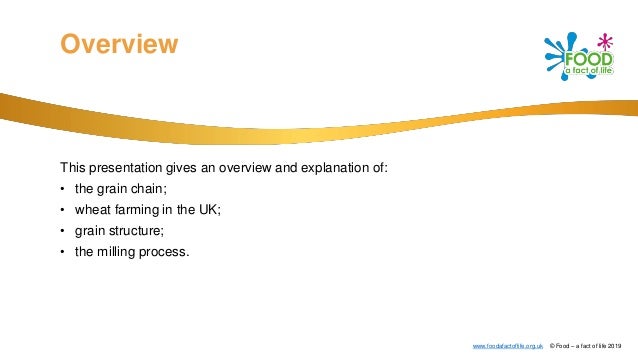 the-grain-chain-ppt-1114fcc.pptx
