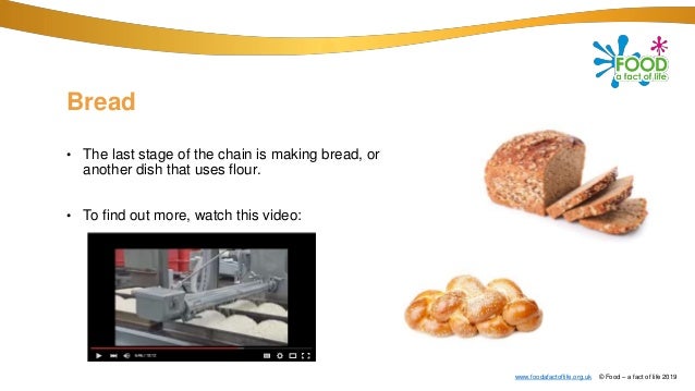 the-grain-chain-ppt-1114fcc.pptx