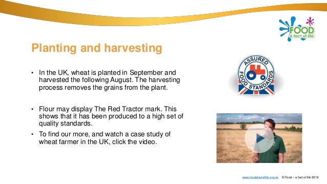 the-grain-chain-ppt-1114fcc.pptx