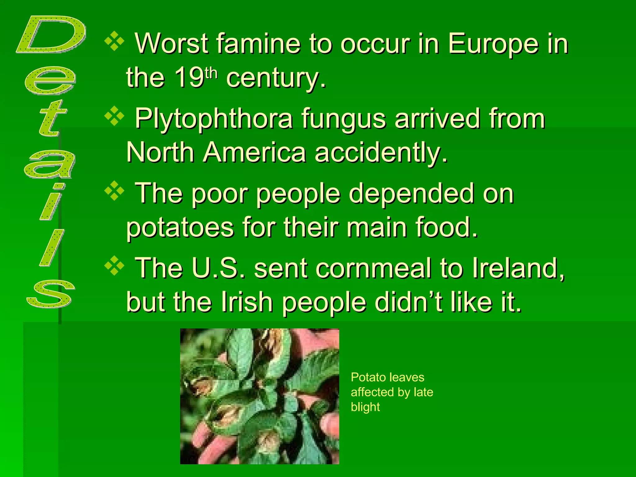 The Great Irish Potato Famine | PPT
