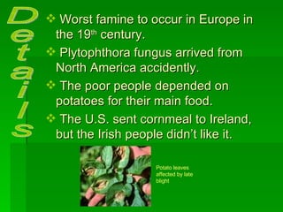 The Great Irish Potato Famine | PPT