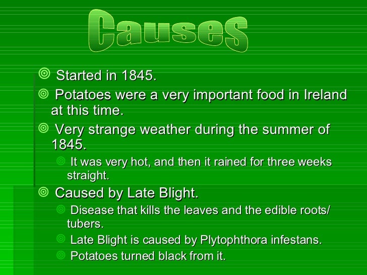 irish potato famine facts
