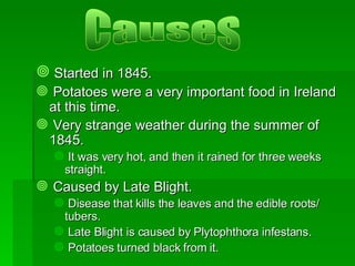The Great Irish Potato Famine | PPT