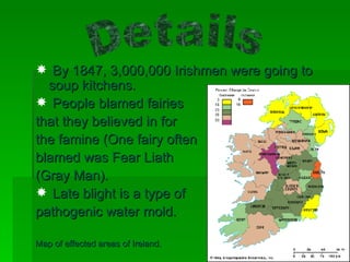 The Great Irish Potato Famine | PPT