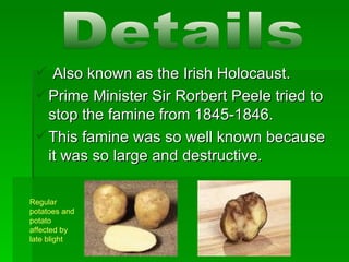 The Great Irish Potato Famine | PPT | Free Download