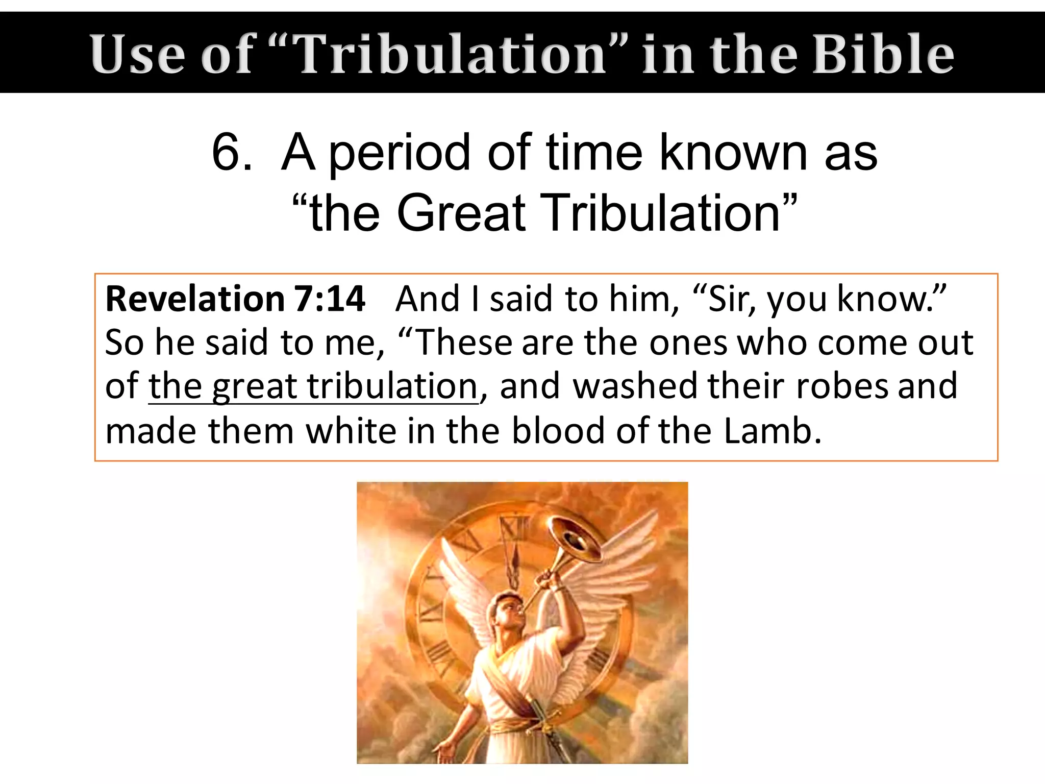 The Great Tribulation | PDF