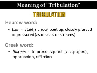 The Great Tribulation | PDF