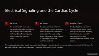The-Heart-A-Marvelous-Pump-System (1).pptx