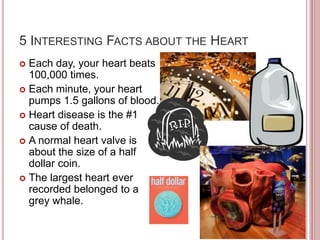 Cardiovascular system; Heart.pptx