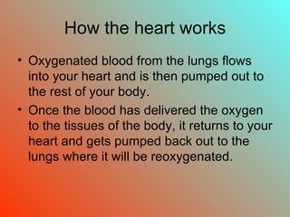 The Heart See! | PPT