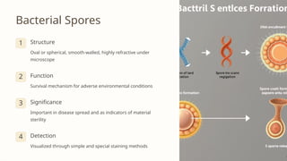 The-History-and-Structure-of-Microbiology.pptx