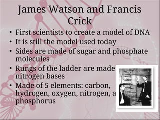 The-History-of-DNA...................ppt